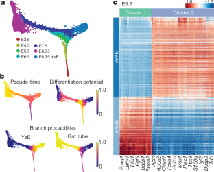 The emergent landscape of the mouse gut endoderm at single-cell ...