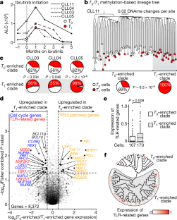 Epigenetic evolution and lineage histories of chronic lymphocytic ...