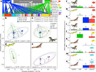 Predator-induced collapse of niche structure and species coexistence ...