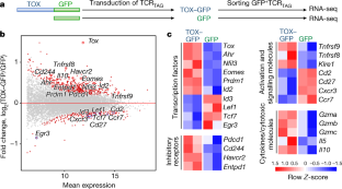 TOX is a critical regulator of tumour-specific T cell differentiation ...