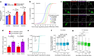 m 6 A enhances the phase separation potential of mRNA | Nature
