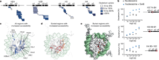 HP1 reshapes nucleosome core to promote phase separation of ...