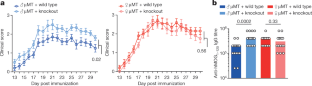 A GPR174–CCL21 module imparts sexual dimorphism to humoral immunity ...