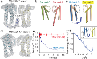 Ball-and-chain inactivation in a calcium-gated potassium channel | Nature