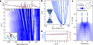 Quantum-limit Chern topological magnetism in TbMn 6 Sn 6 | Nature