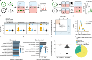 Comprehensive identification of RNA–protein interactions in any ...