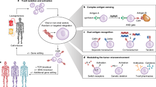 Gene editing for immune cell therapies | Nature Biotechnology