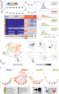 Spatial metagenomic characterization of microbial biogeography in the ...