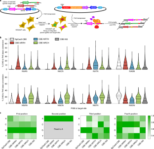 Continuous evolution of SpCas9 variants compatible with non-G PAMs ...