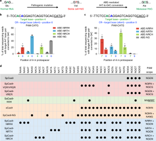 Continuous evolution of SpCas9 variants compatible with non-G PAMs ...