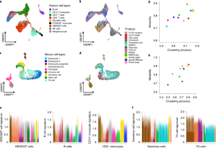 Benchmarking single-cell RNA-sequencing protocols for cell atlas ...