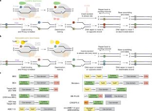 Genome editing with CRISPR–Cas nucleases, base editors, transposases ...