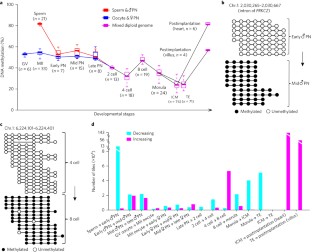 Single-cell DNA methylome sequencing of human preimplantation embryos ...