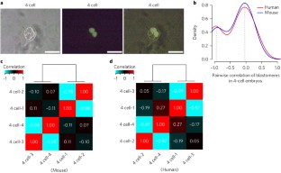 Single-cell DNA methylome sequencing of human preimplantation embryos ...