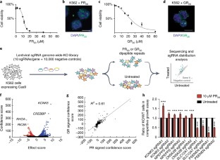 CRISPR–Cas9 screens in human cells and primary neurons identify ...