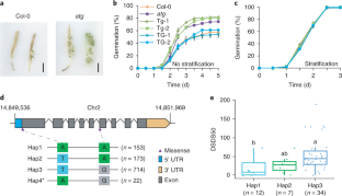 Parallel selection on a dormancy gene during domestication of crops ...