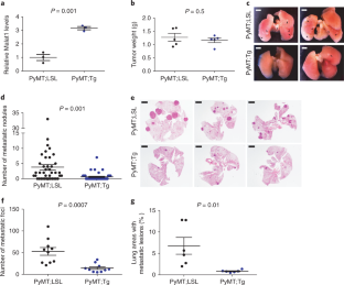 Long noncoding RNA MALAT1 suppresses breast cancer metastasis | Nature ...