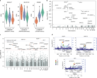 Retinal transcriptome and eQTL analyses identify genes associated with ...