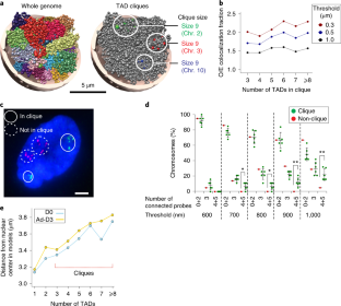 Long-range interactions between topologically associating domains shape ...