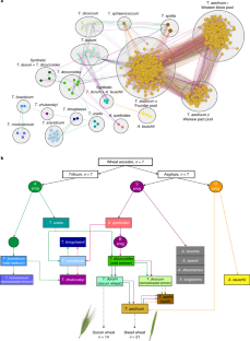 Tracing the ancestry of modern bread wheats | Nature Genetics