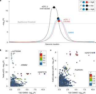 Abundant associations with gene expression complicate GWAS follow-up | Nature Genetics