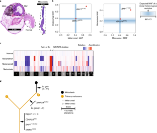 The genetic evolution of metastatic uveal melanoma | Nature Genetics