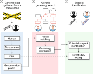 Privacy challenges and research opportunities for genomic data sharing ...