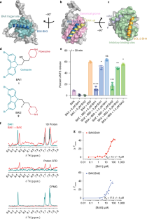 Small-molecule allosteric inhibitors of BAX | Nature Chemical Biology