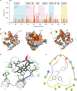 Small-molecule allosteric inhibitors of BAX | Nature Chemical Biology