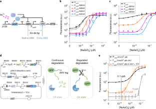 Cascaded amplifying circuits enable ultrasensitive cellular sensors for ...
