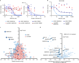 BAF complex vulnerabilities in cancer demonstrated via structure-based ...