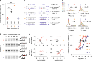 Structural basis of a small molecule targeting RNA for a specific ...