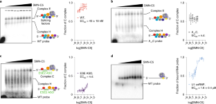 Structural basis of a small molecule targeting RNA for a specific ...