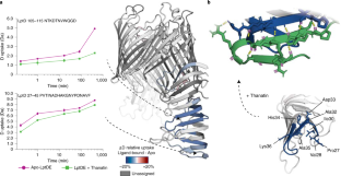 Dynamics of an LPS translocon induced by substrate and an antimicrobial ...