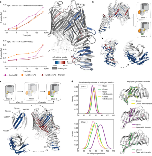 Dynamics of an LPS translocon induced by substrate and an antimicrobial ...
