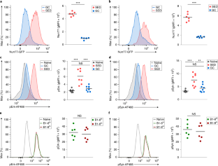 BCR affinity differentially regulates colonization of the subepithelial ...
