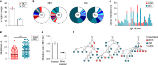 BCR affinity differentially regulates colonization of the subepithelial ...