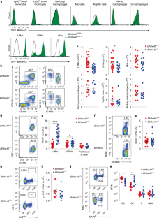Bhlhe40 mediates tissue-specific control of macrophage proliferation in ...