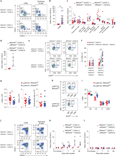 Bhlhe40 mediates tissue-specific control of macrophage proliferation in ...