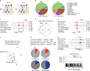 Bhlhe40 mediates tissue-specific control of macrophage proliferation in ...