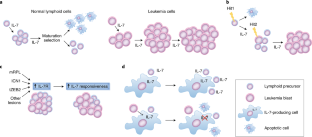 Flip the coin: IL-7 and IL-7R in health and disease | Nature Immunology