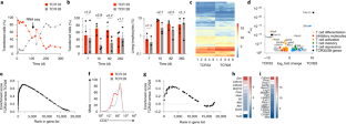 Reverse TCR repertoire evolution toward dominant low-affinity clones ...