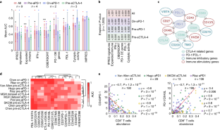 Robust prediction of response to immune checkpoint blockade therapy in ...