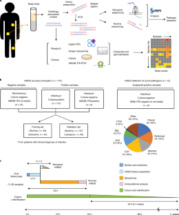 Rapid pathogen detection by metagenomic next-generation sequencing of ...