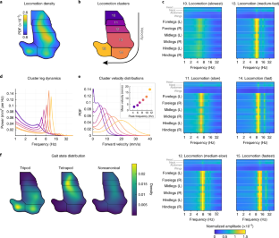 Fast animal pose estimation using deep neural networks | Nature Methods