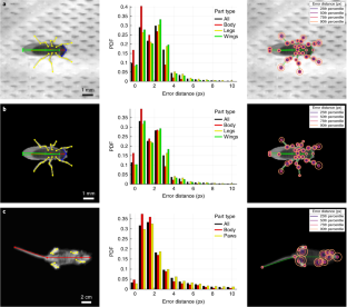 Fast animal pose estimation using deep neural networks | Nature Methods