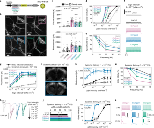 Machine learning-guided channelrhodopsin engineering enables minimally ...