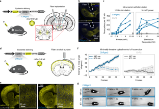 Machine learning-guided channelrhodopsin engineering enables minimally ...