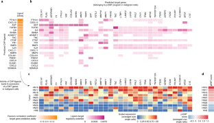 NicheNet: modeling intercellular communication by linking ligands to ...