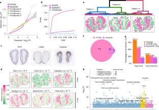 Statistical analysis of spatial expression patterns for spatially resolved transcriptomic ...